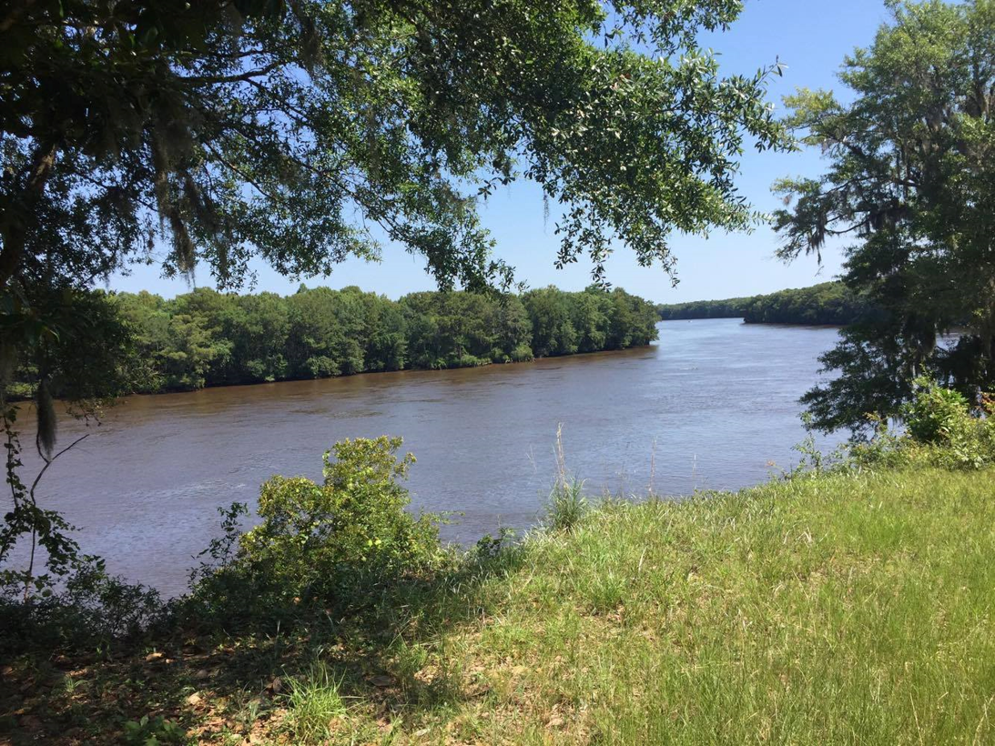 Picture Project - The Holler