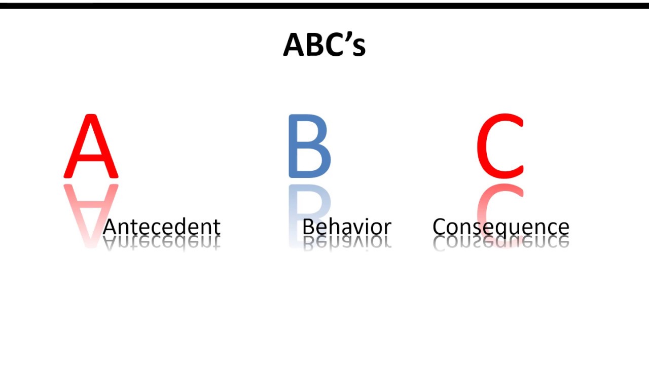 Understanding Behavior Part Two - ABC's - The Holler