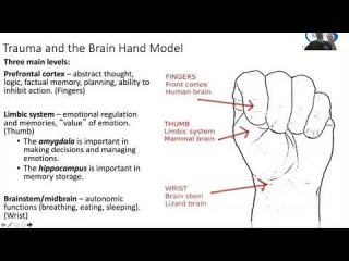 The Brain Hand Model - The Holler
